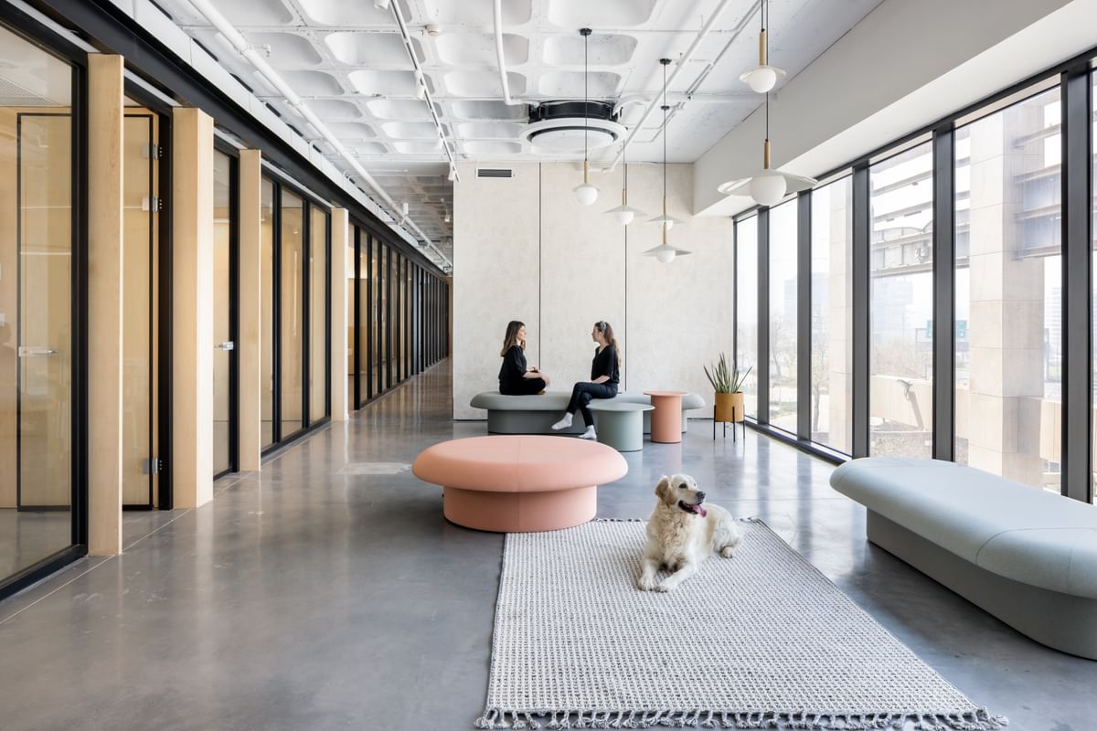 WIX Mixer | innovate