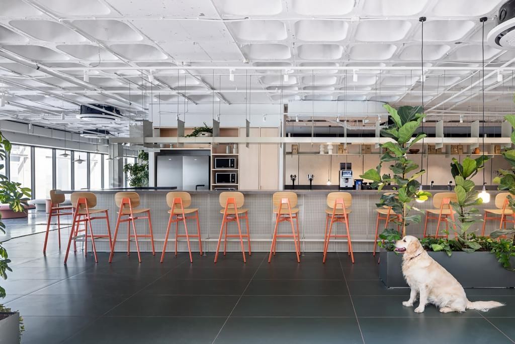 WIX Mixer | Innovate - אינובייט