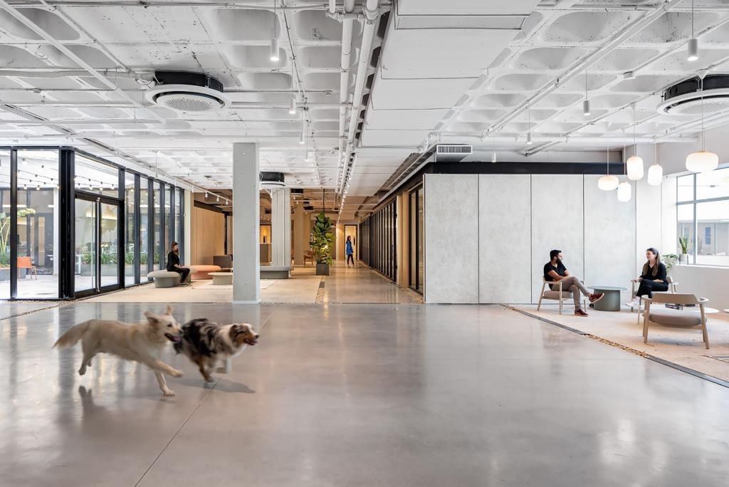 WIX Mixer | Innovate - אינובייט