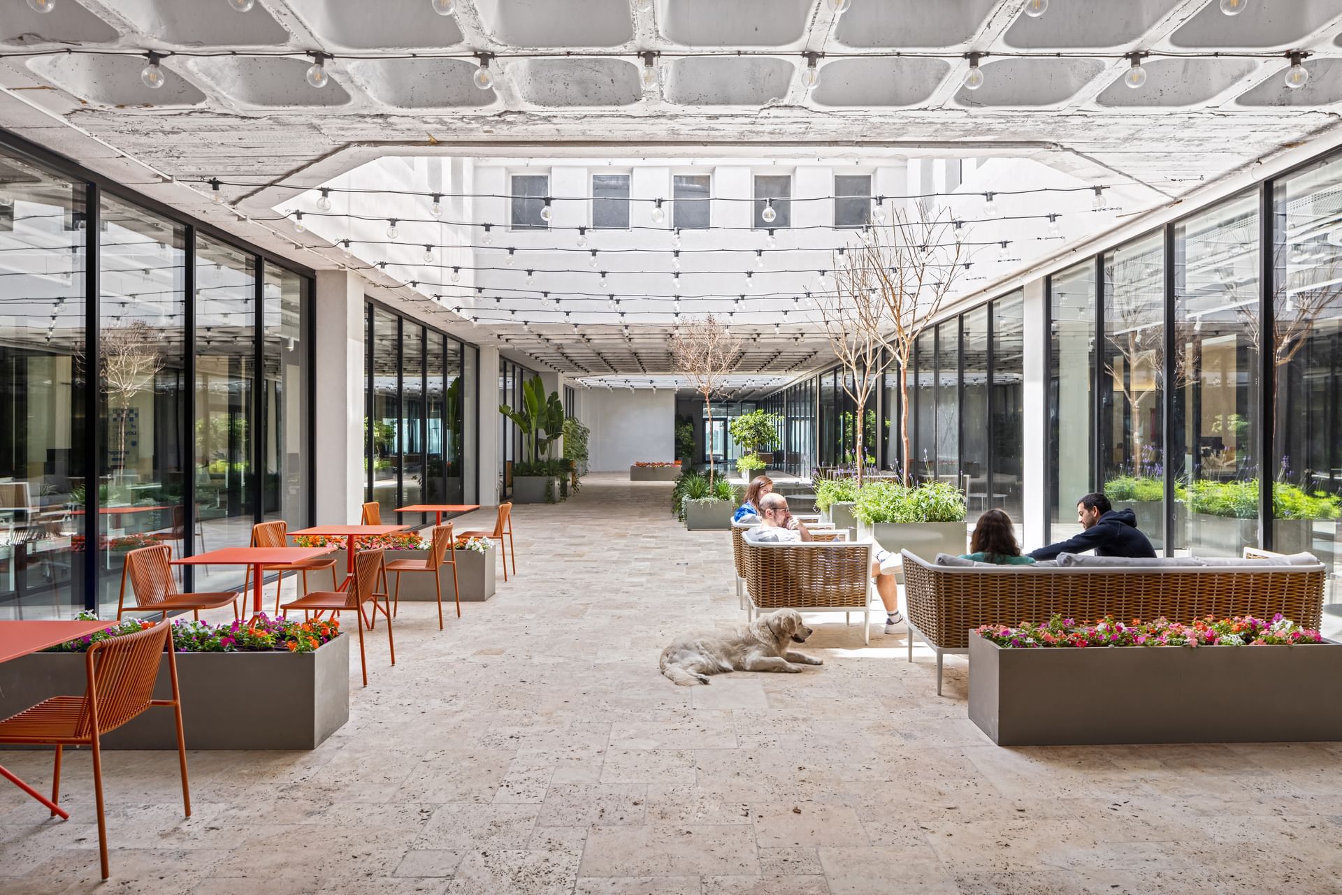 WIX Mixer | Innovate - אינובייט